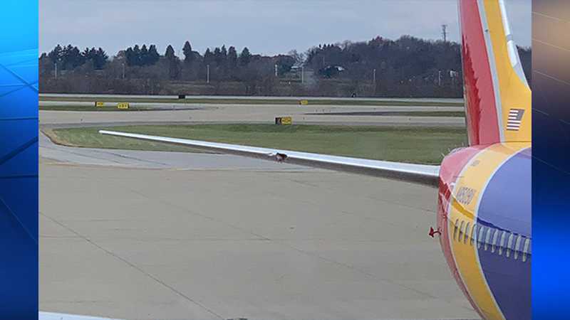 Passenger discusses bird strike that sent Florida-bound flight back to ...