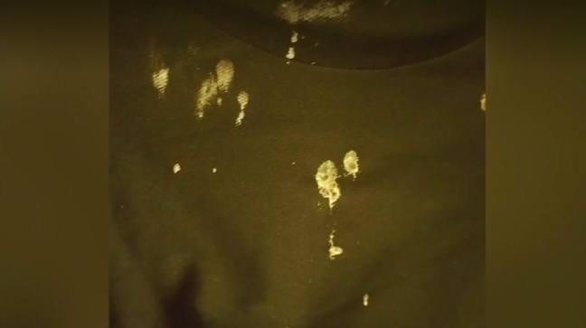 Pickpocketers distracting victims with bird poop scam