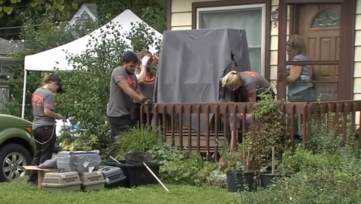 ASPCA says more than 600 birds removed from home