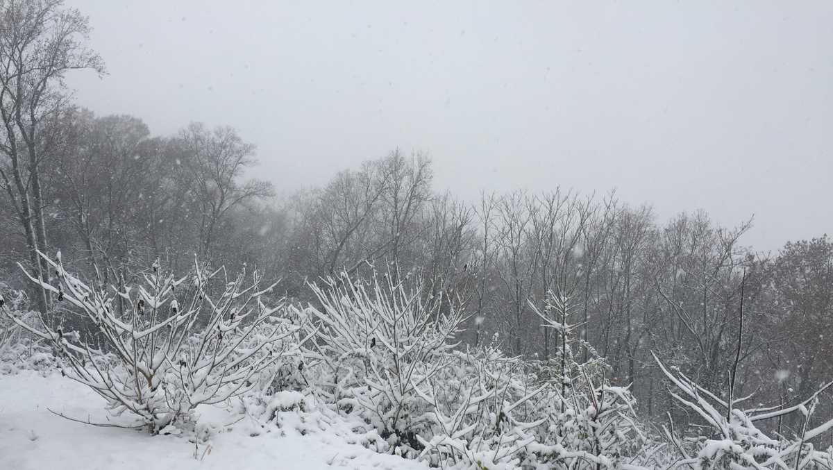 Winter storm warning issued, closings and delays reported