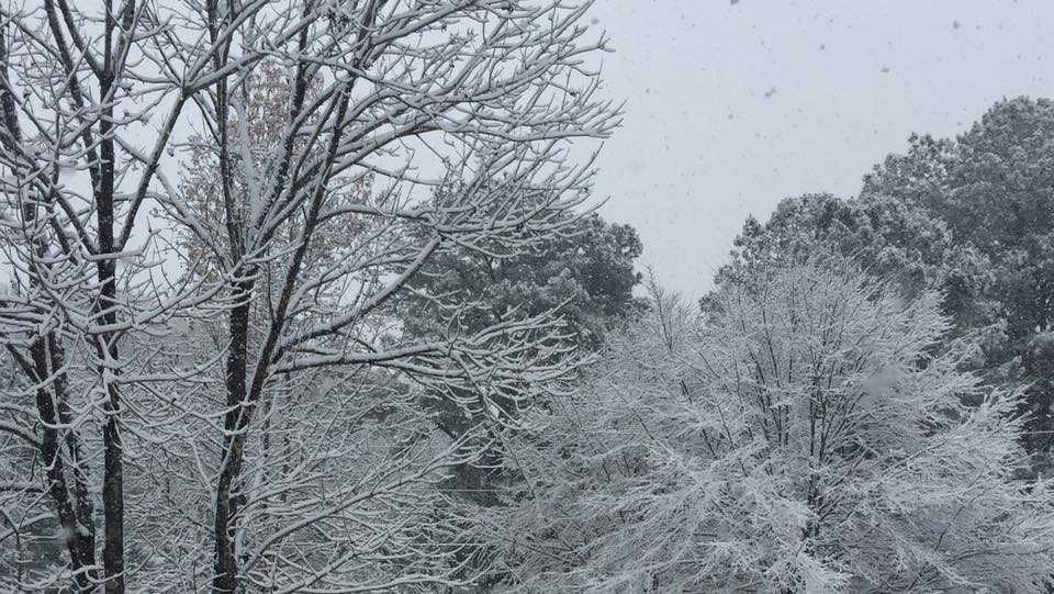 Images: Snow falls across Alabama