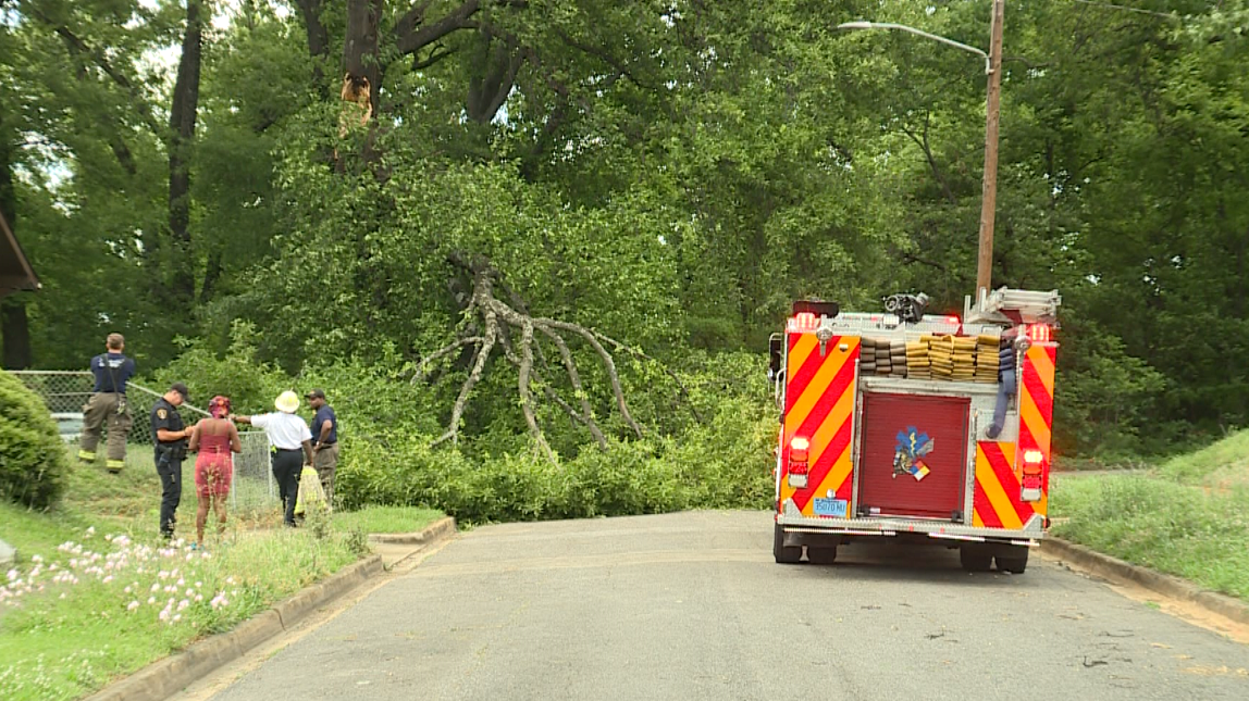 Birmingham woman injured after tree limb falls onto her home, trapping ...