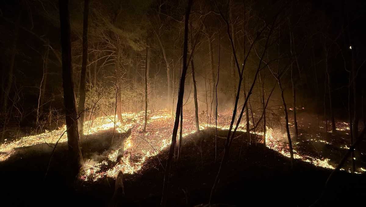 Black Cove complex fire updates: all evacuation orders lifted