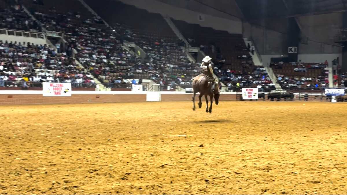 Cowboys and cowgirls saddling up for SERA Jackson Black Rodeo
