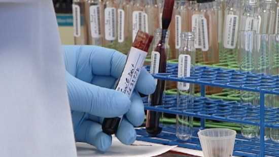 Suspected criminals remain free amid backlog of toxicology tests