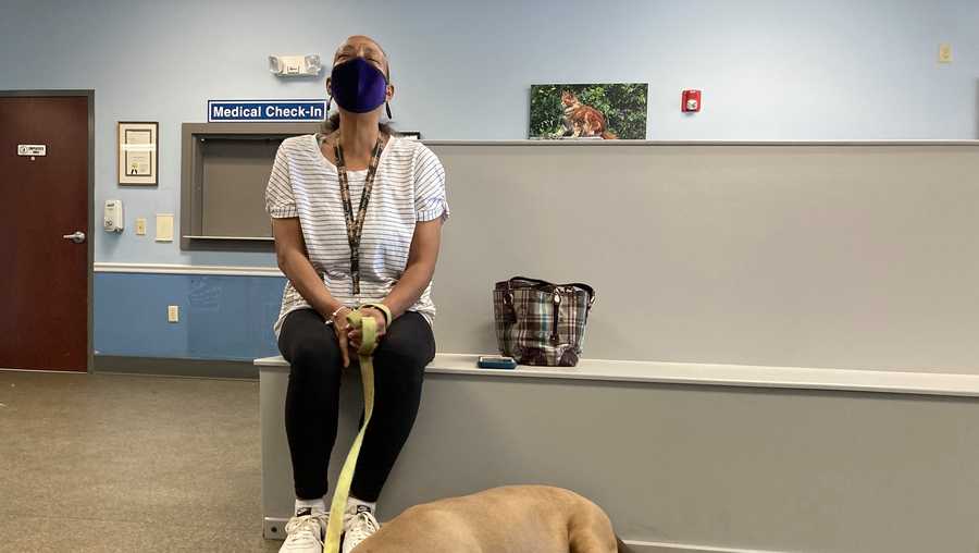 Cincinnati animal shelter helps woman after ride to dog's surgery cancels