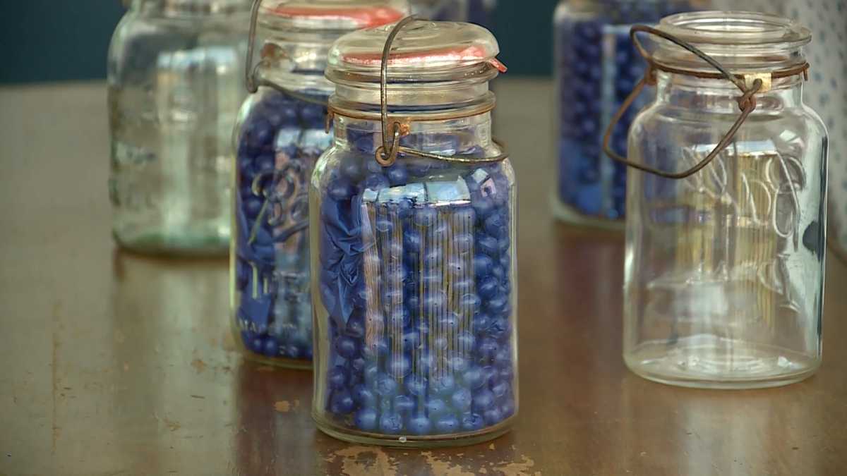 Union Fair kicks off with new blueberry-themed exhibit