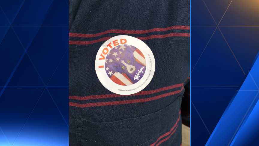 Louisiana voters sell Blue Dog 'I voted' stickers on eBay