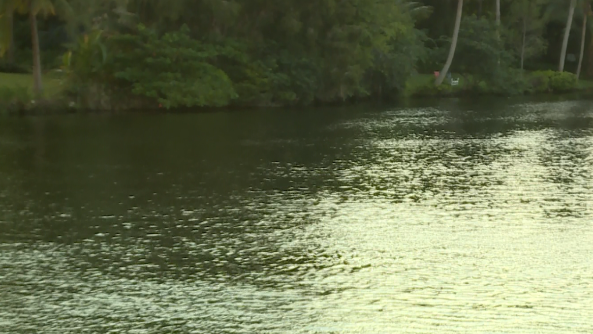 Body found floating in a West Palm Beach, Florida waterway