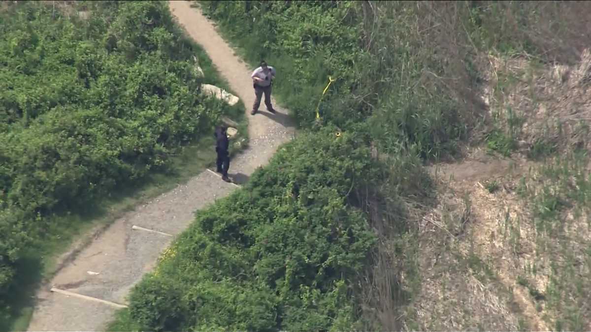 Bones found along Cape Cod National Seashore in Eastham