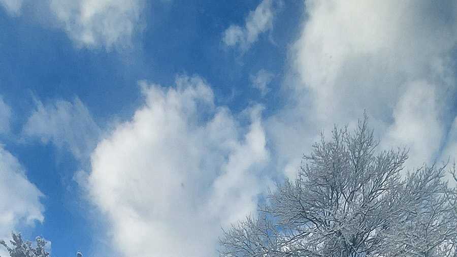 Snowfall totals across Maryland on Dec. 14, 2025 | Photos