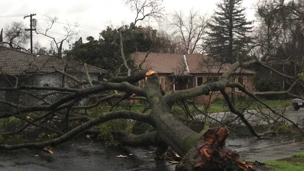 Strong winds topple trees, knock out power across Valley