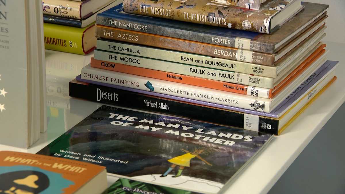 Iowa author hosts book drive to celebrate Black history and culture