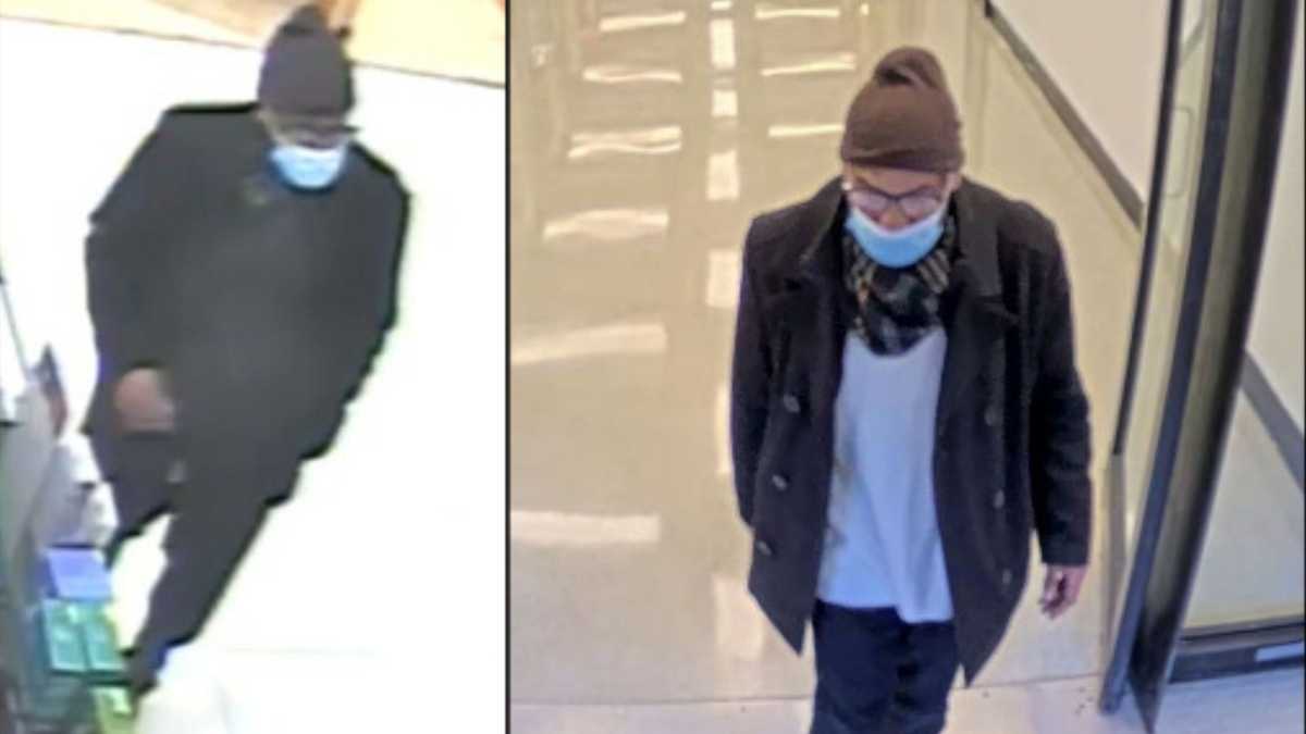 Police release photos of Boston City Hall break-in suspect