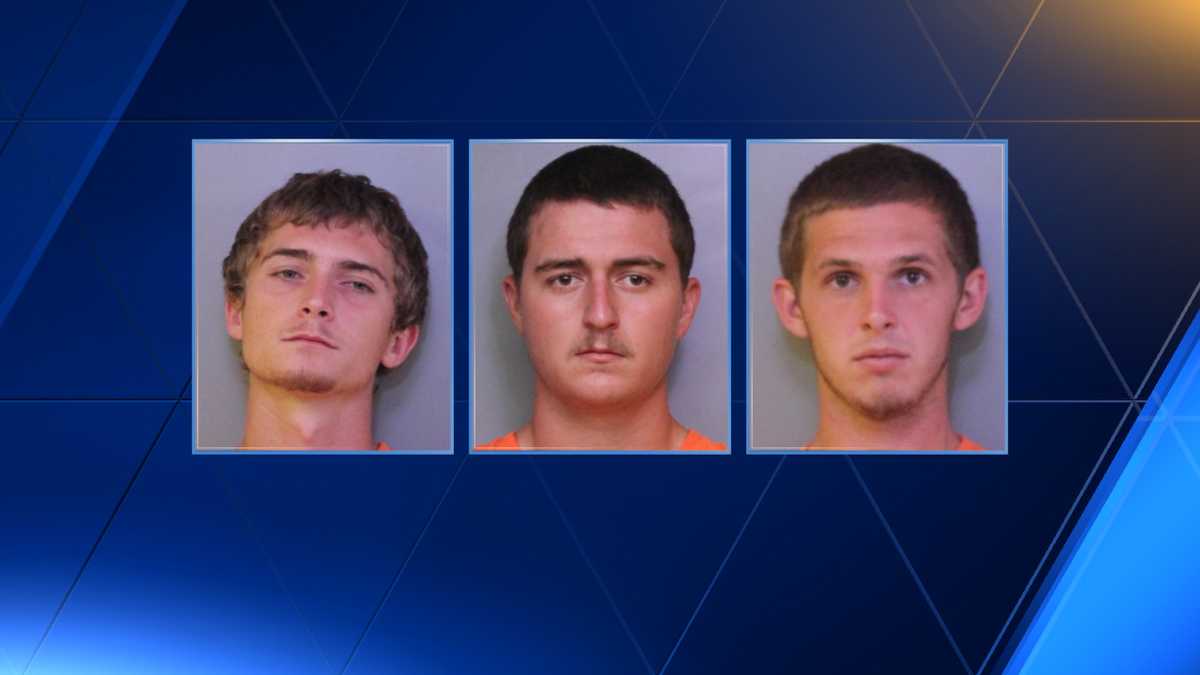 PCSO: 'Steal a cow, go to jail'; Bovine Bandits arrested
