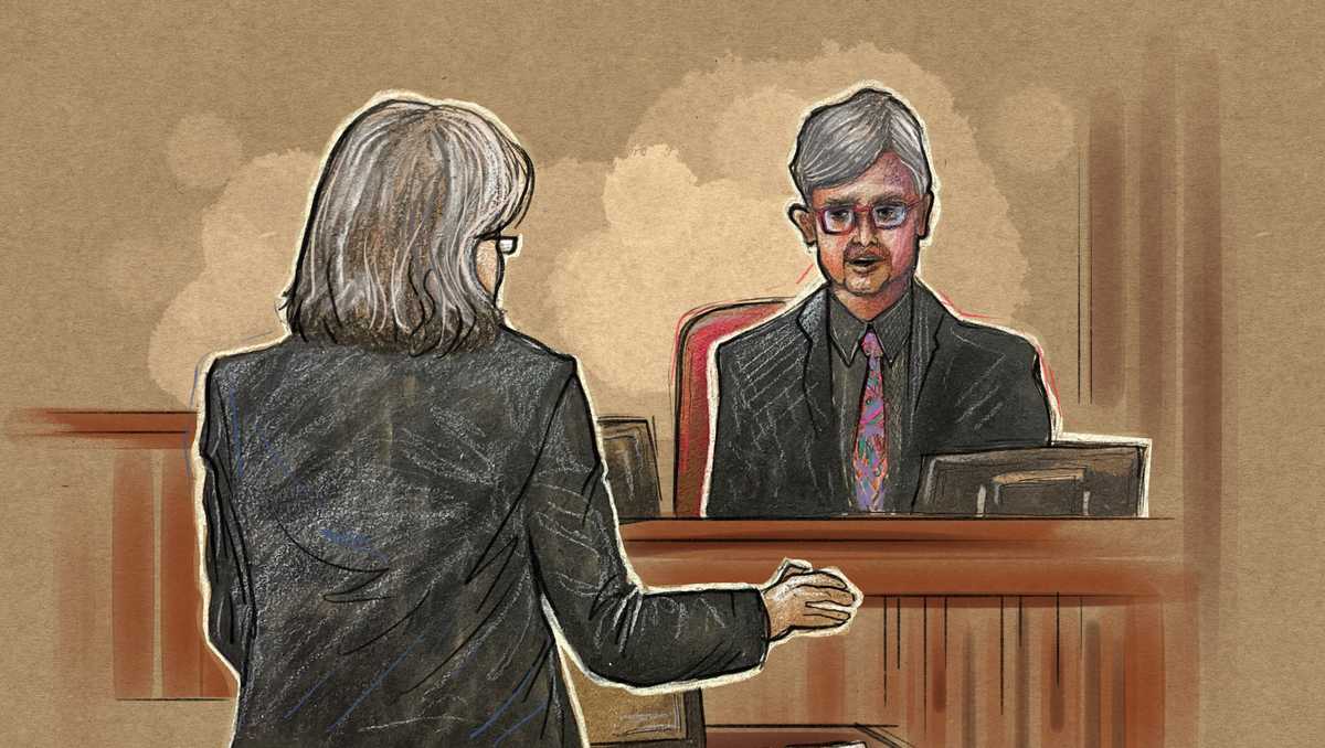 Tree of Life Penalty Phase: Robert Bowers' brain development