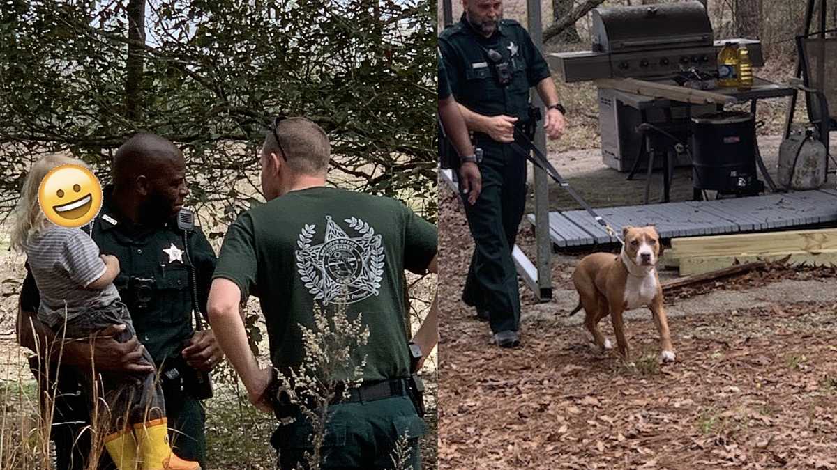 Missing boy found safe protected by his "Buddy"