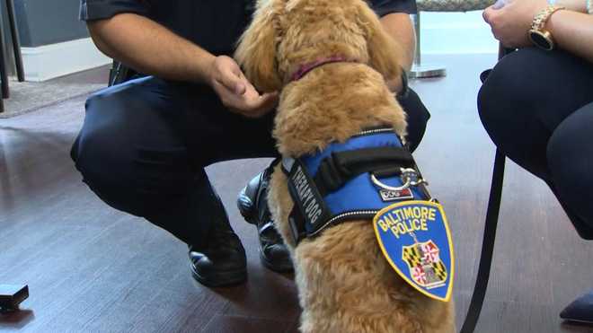 Love costs Baltimore Police Department one 'Penny'