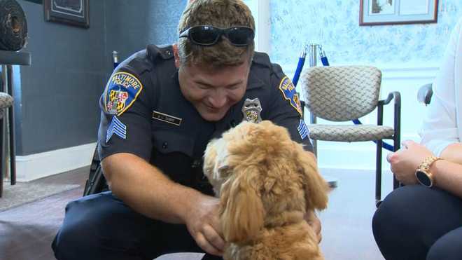 Love costs Baltimore Police Department one 'Penny'
