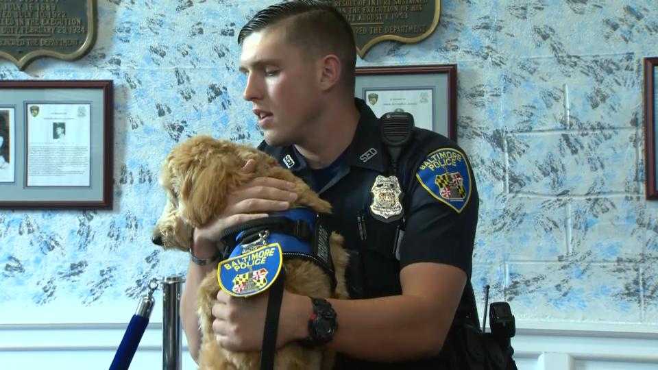 Love costs Baltimore Police Department one 'Penny'