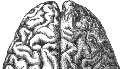 Kids with ADHD have some brain regions that are slightly smaller than usual