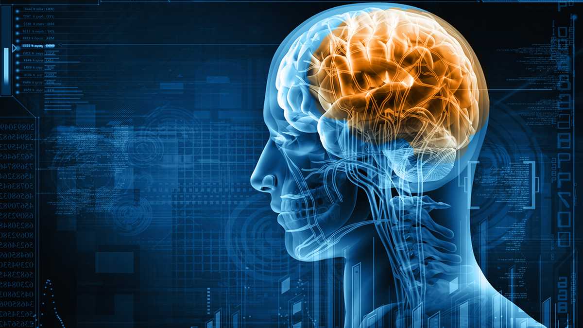 Digital Evolution: Is smart tech making us dumber?