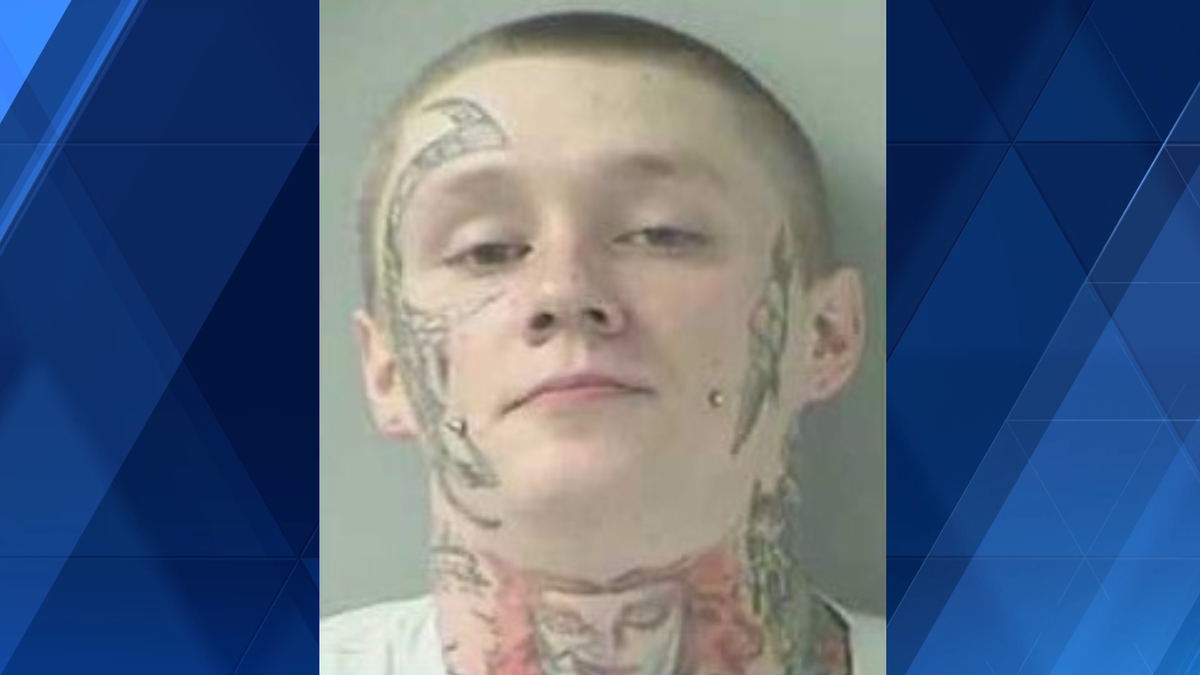 Hamilton police searching for man wanted on several rape charges