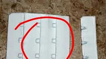 Independence sanctuary asks for bra parts to repair turtle shells