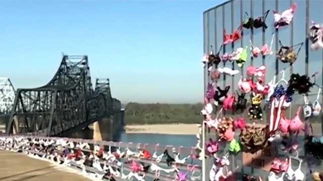 Bras along the bridge event raises over $12,000