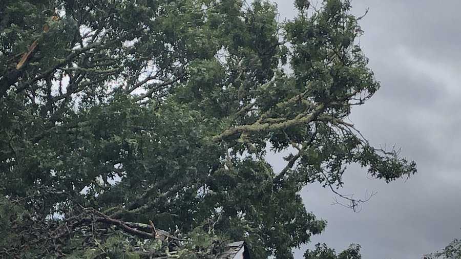 Photos: Tornadoes, severe storms tear through Cape Cod