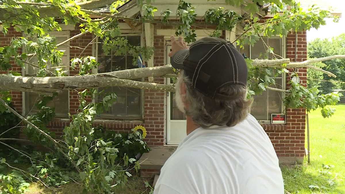 Storms topple trees, knock out power in Mulberry
