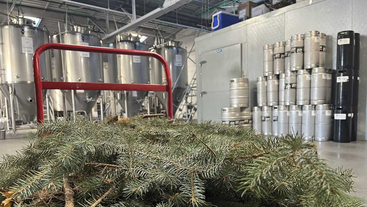 Milwaukee brewery makes City Christmas tree into beer