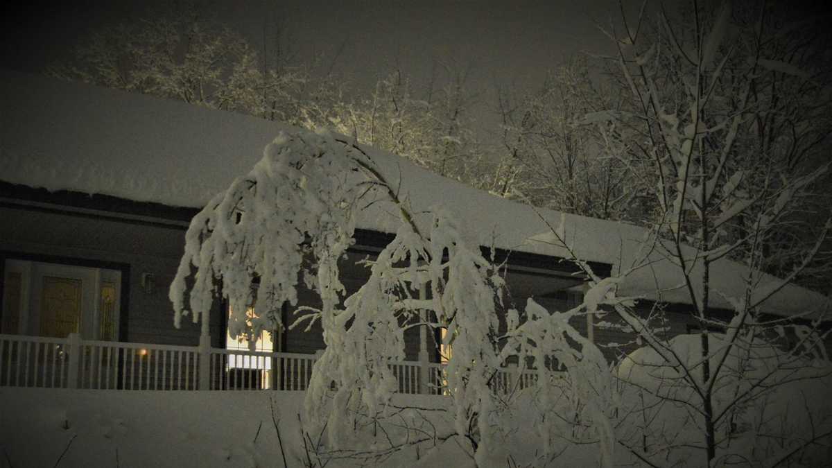 Photos: Heavy, wet snow blankets Maine