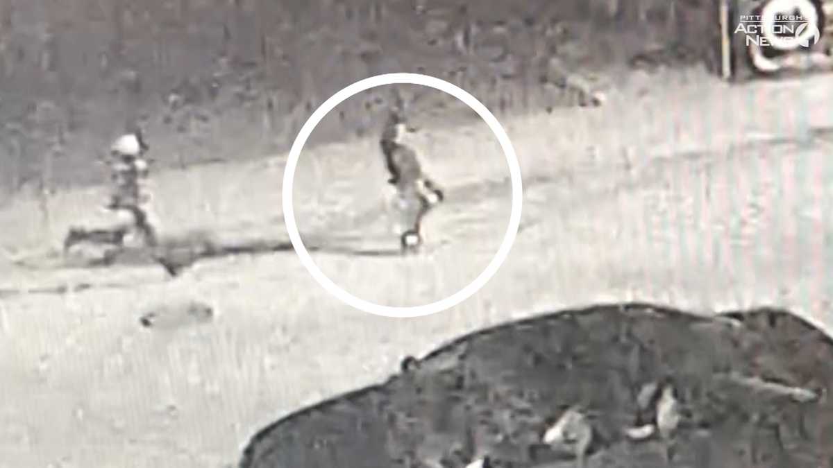OFFICER BRIAN SHAW: Video from shooting of New Kensington police ...