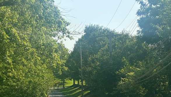Pickup truck crashes through closed Chester County, Pa. bridge, leaks ...