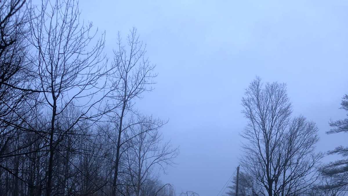 See photos of damage from Tuesday night's winter storm in Vermont