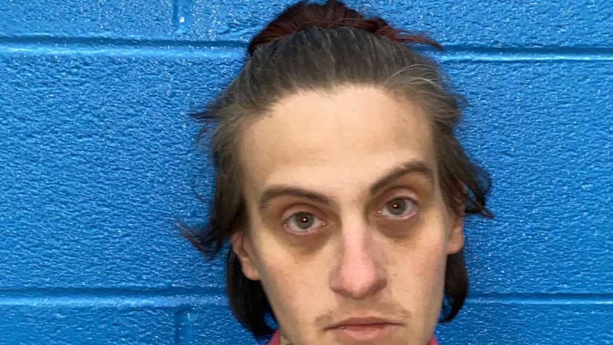 North Carolina: Dollar General theft leads to drug charges