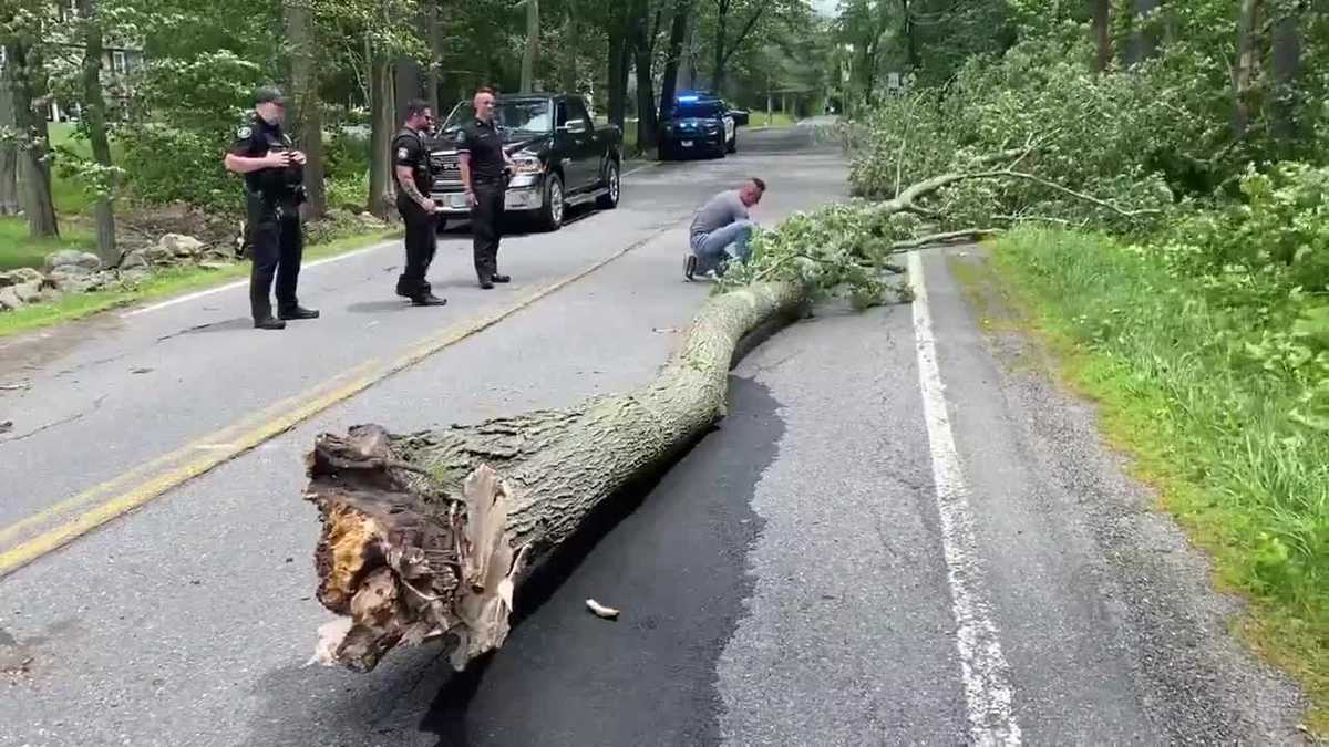 Londonderry, New Hampshire tree accident: Boy seriously hurt