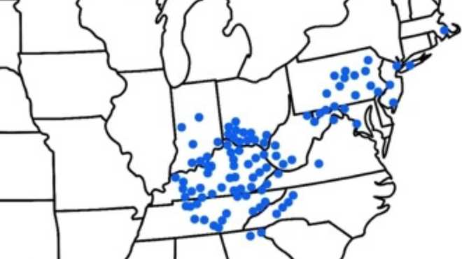 MAP | Kentucky at epicenter of 2025 cicada emergence; where you could ...