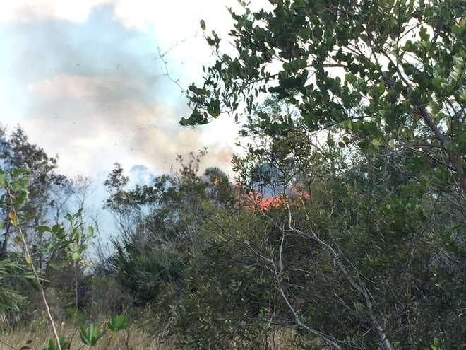 Crews battle brush fire in Jupiter, some residents evacuated