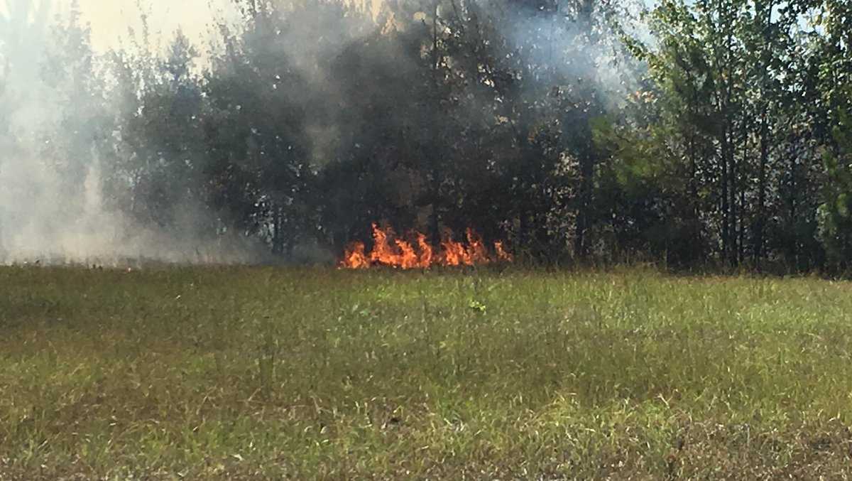 Firefighters battle brush fires across central Alabama