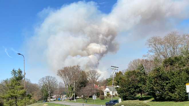 Soldiers Delight Wildfire