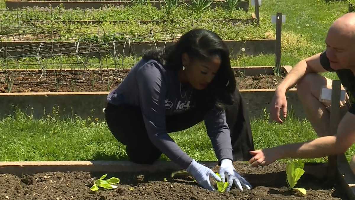 Get Growing with Brya: Step 3 Cool Season Planting