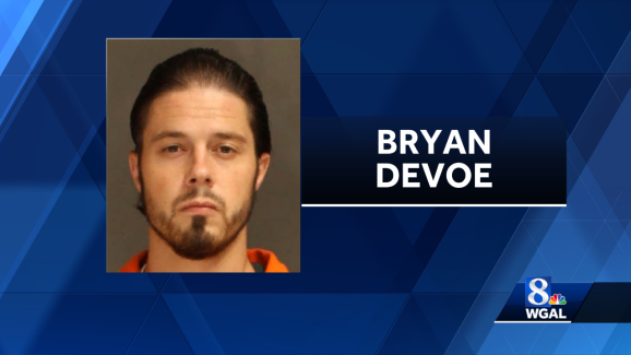 Man sentenced to state prison for SUV theft, death of victim's dog