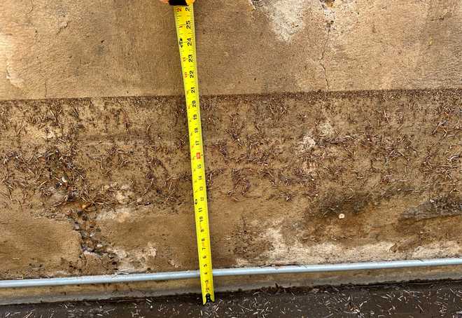 Floodwaters damage homes in Albuquerque