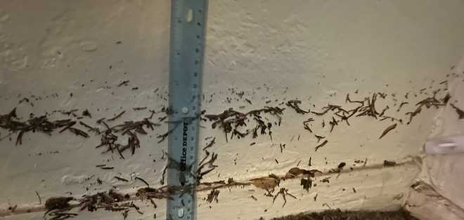 Floodwaters damage homes in Albuquerque