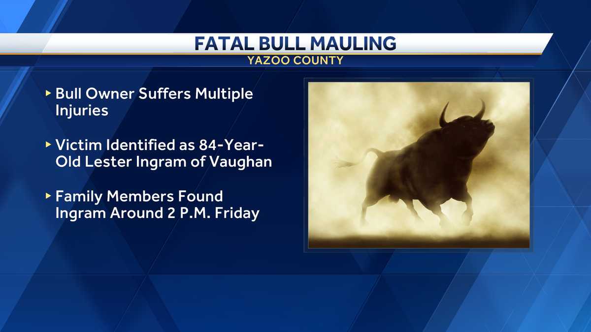 Man dies after being mauled by a bull, according to coroner