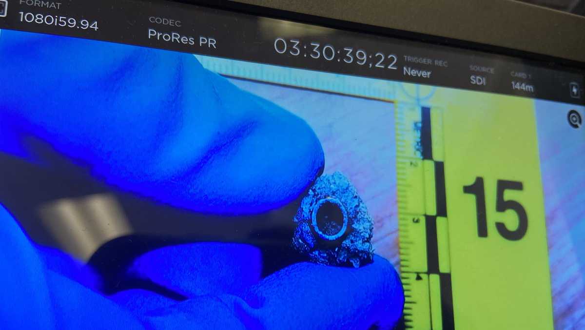 Blood, bullets, shoe prints were focus of Friday's testimony in Pike County