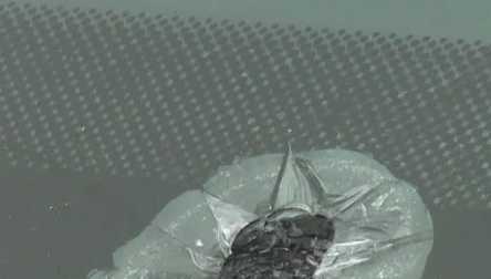 Bullet shatters windshield of car traveling on Route 101 in Epping