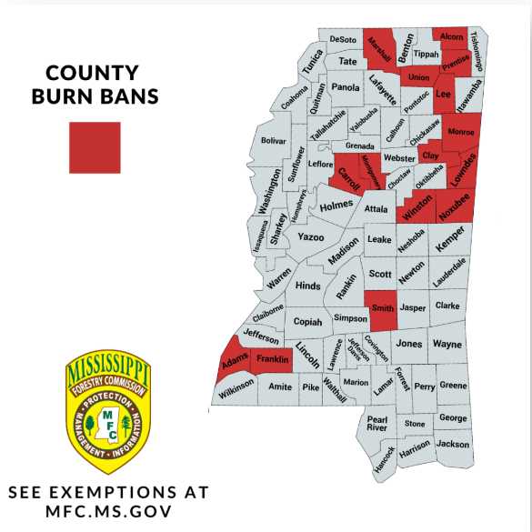 Firenado caught on camera in Mississippi